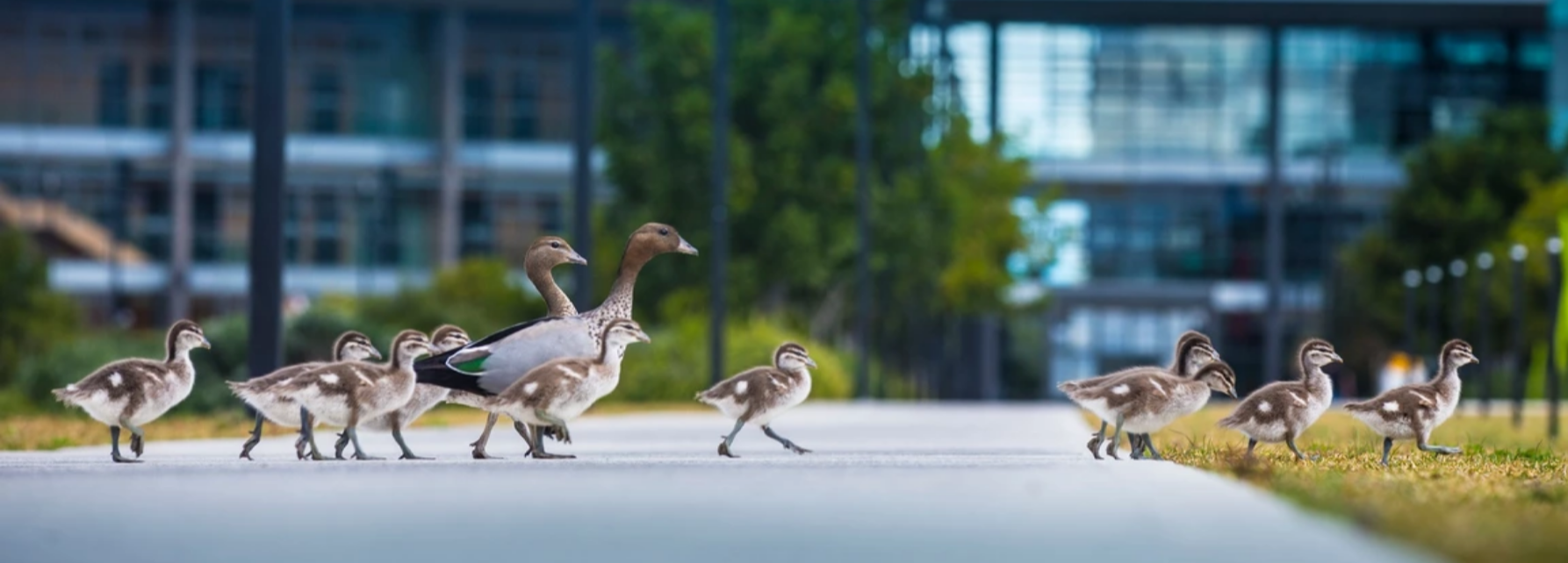 Bachelor of Engineering (Honours) - Civil Engineering at University of ...